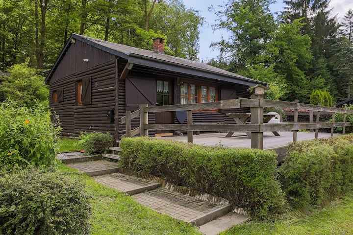 Chalet Forestier L'écureuil - Chiny