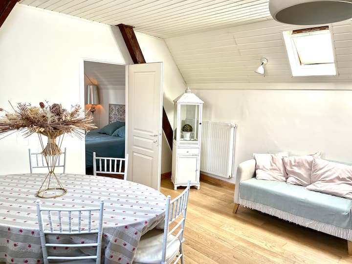 45m2 Privés Chambre, Grand Salon Et Salle De Bain - Strasbourg