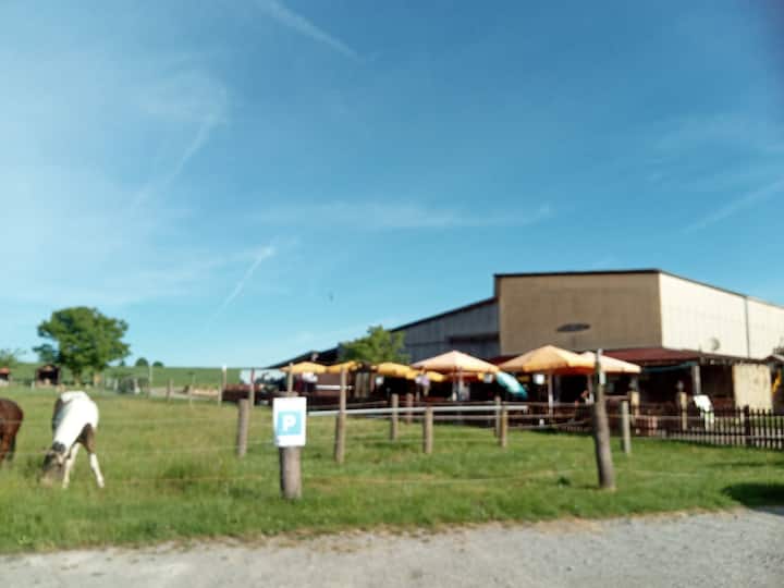 Idyllischer Wohnmobilstellplatz - Eppingen