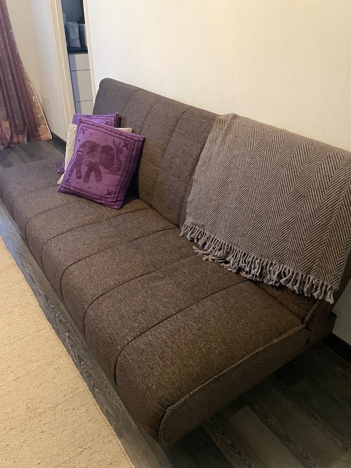 Savanna House - Viihtyisä Ja Kotoisa Yksiö - Jyväskylä