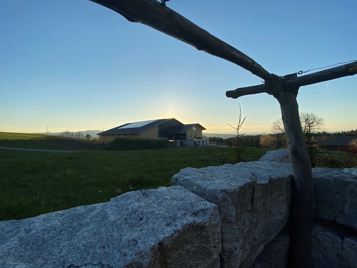 Ferienwohnung Auf Dem Bauernhof - Suisse