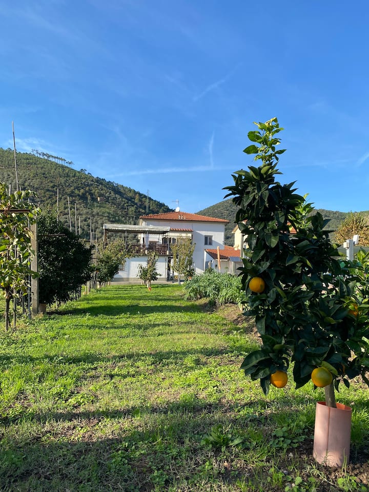 La Tenuta Di Eva - Lucca