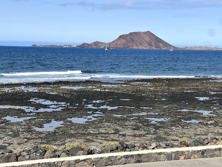 Vista Lobo - Corralejo