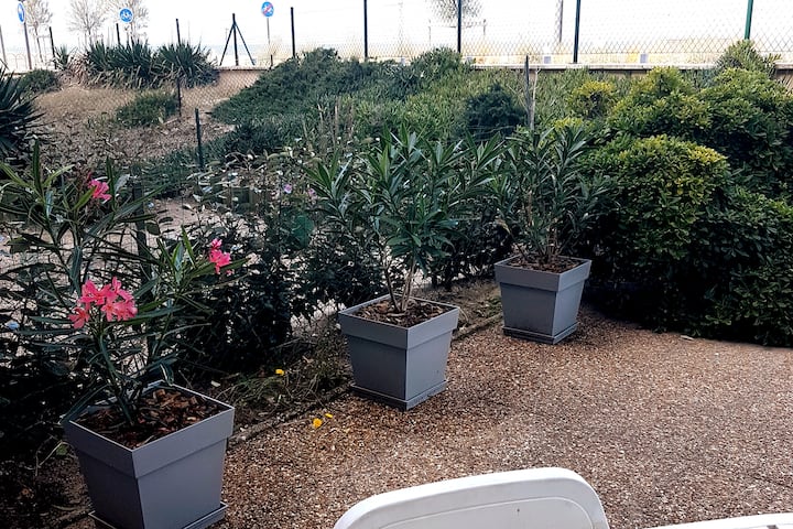 Front De Mer,  Rdc  Jardinet, Calme, Centre Ville - Soulac-sur-Mer