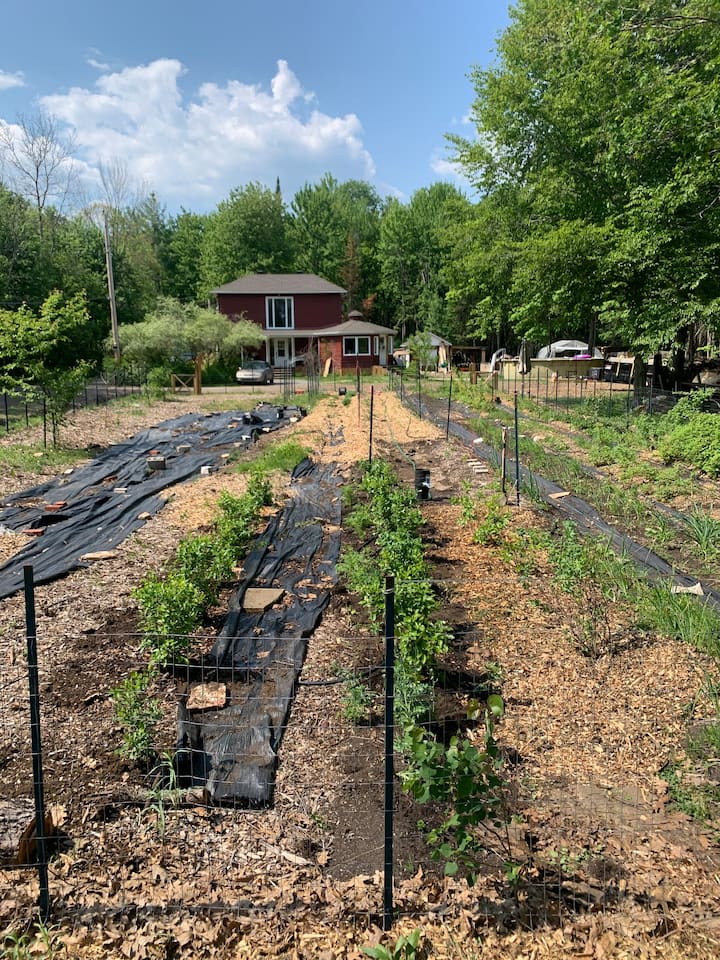 Peaceful House In Nature To Rent - Mirabel