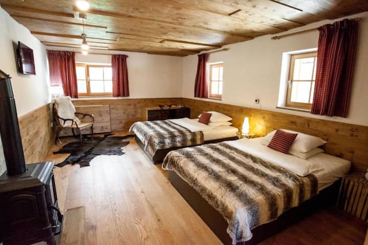 Pension Repnik - Twin Room (2+0) - Kamnik