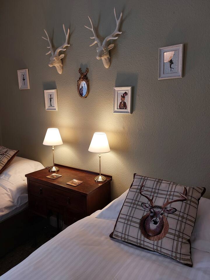 Twin Room At Lion Hotel Exmoor Incl. Breakfast - Dulverton
