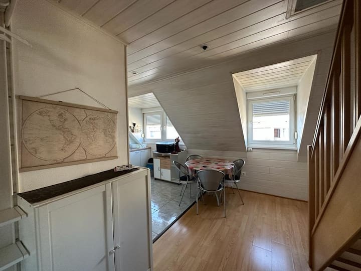 Duplex F2 - Proche Gare Tgv - Mulhouse