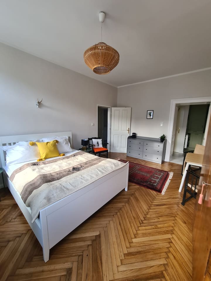 Historisches Altbau Boutique Apartment Wien Stadt - Vienna