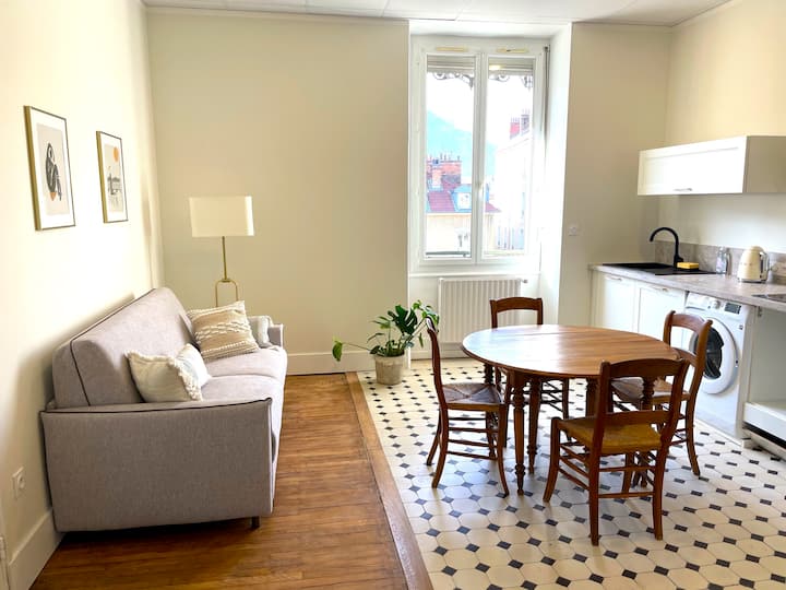 Appartement Entièrement Rénové Proche Gare - Grenoble