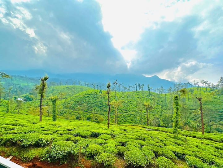 Thalimala Bungalow - Kerala