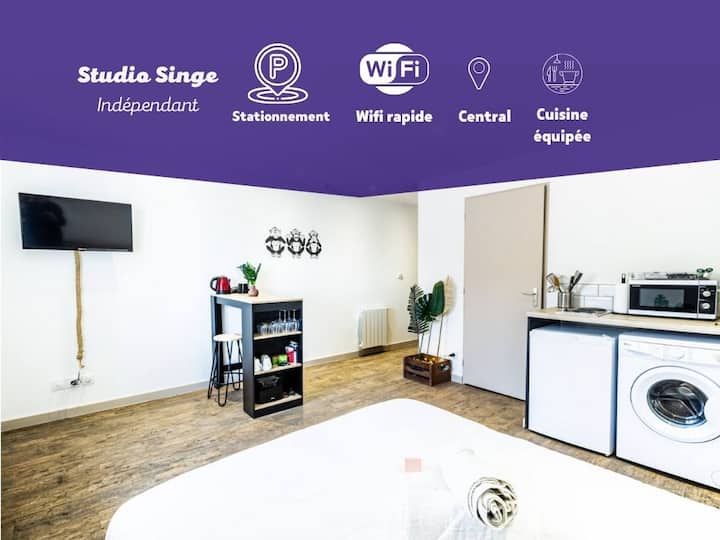 Lodge Singe - Studio Tout éQuipé - Bourg-en-Bresse