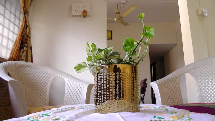 Book Now, Newly Refreshed 3bhk Homestay - Nagpur