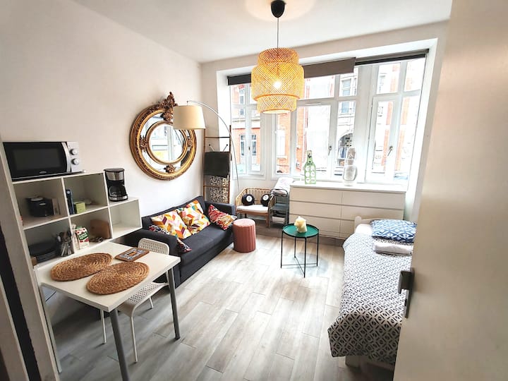 Studio Lumineux, En Hyper Centre De Lille. - Lille