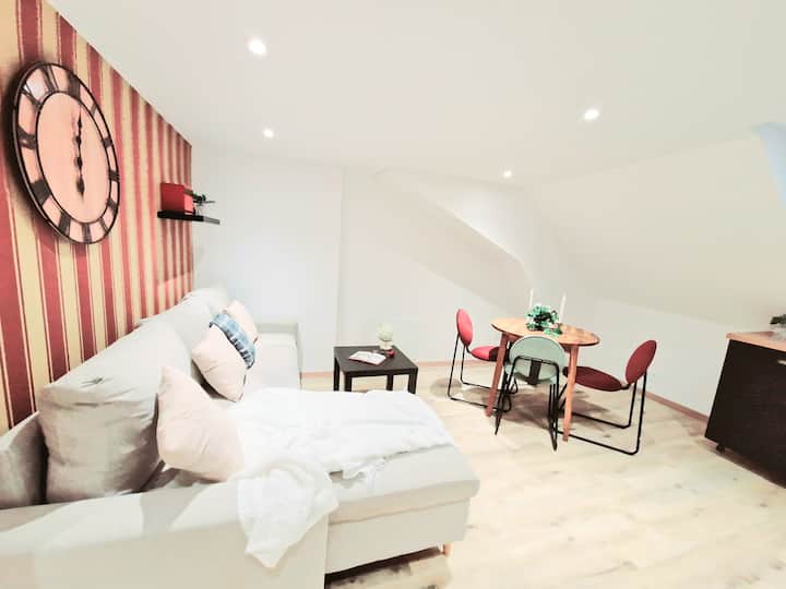 【L'élémentaire】,chic Et Central - Mulhouse
