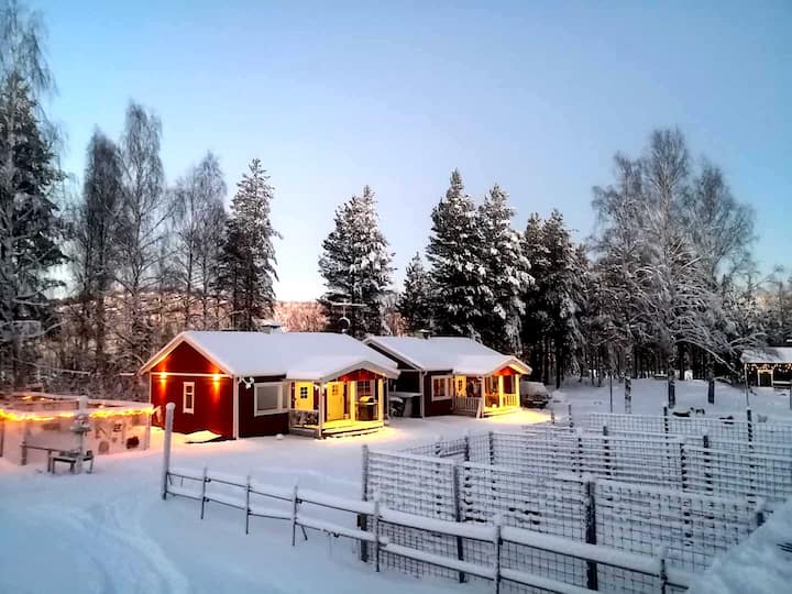 Moose Cabin - Älvsbyn