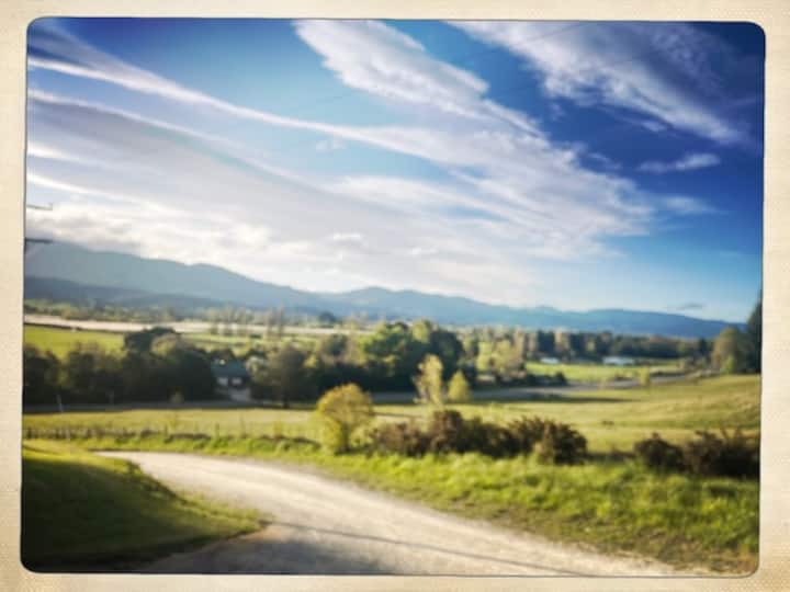 Honey Bee Cottage - Motueka