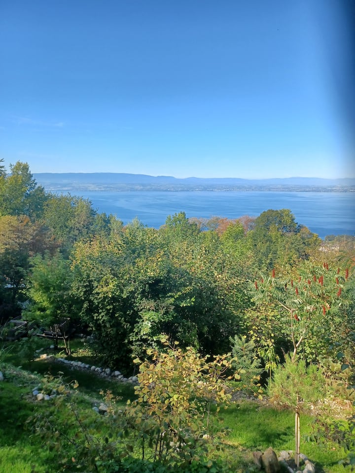 Charmante Location Hauts D'evian - Évian-les-Bains
