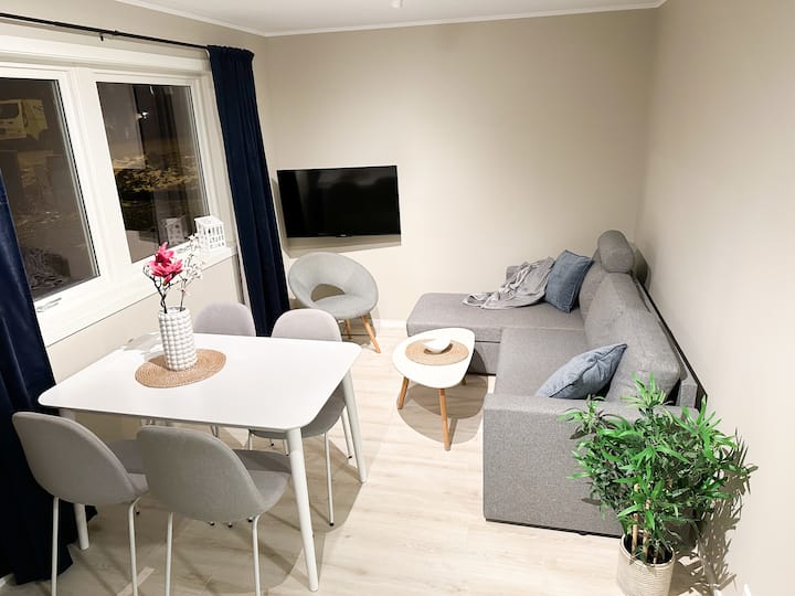 Tromsdalen Aurora Apartments L - Tromsø