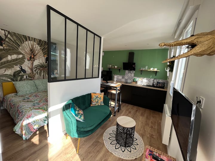 Studio Jungle Hyper-centre - Groix
