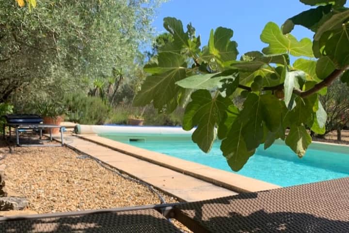 Maisonnette Autour Des Oliviers Avec Piscine - Pierrefeu-du-Var