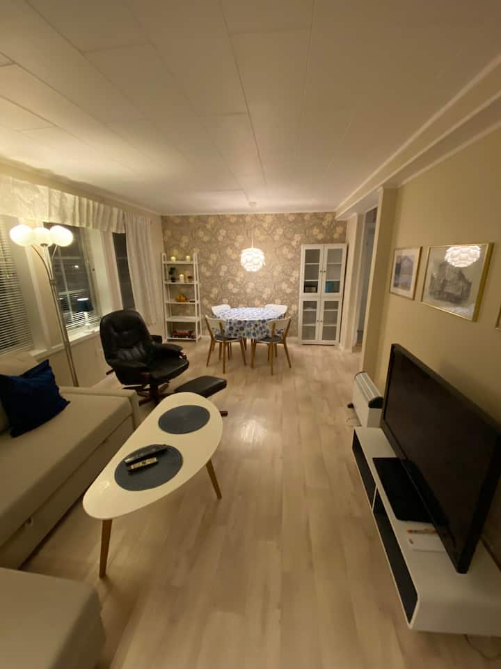 Aurora Borealis Apartment - Tromsø