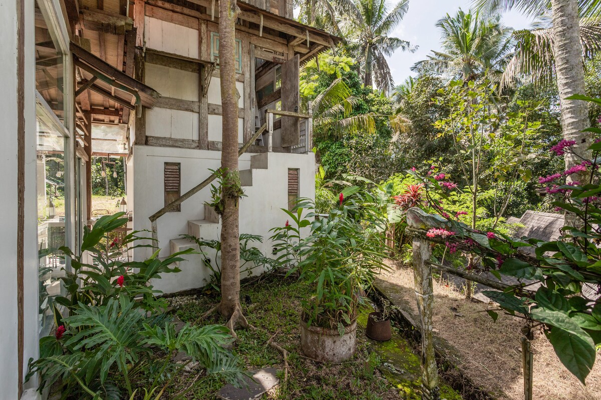 Ubud House Vacation Rentals - Bali, Indonesia | Airbnb