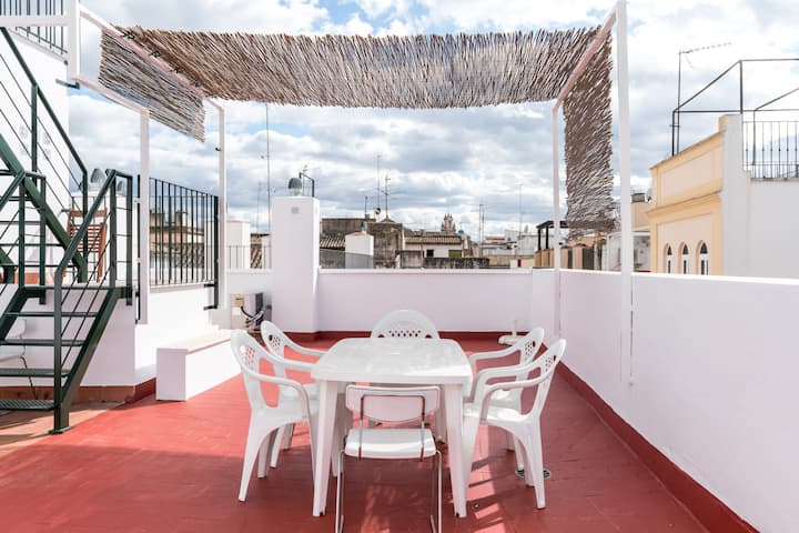 Duplex Penthouse In Heart Of City - Seville