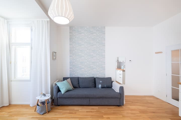 Comfy & Bright Studio In ŽIžkov/vinohrady, Prague - Prague
