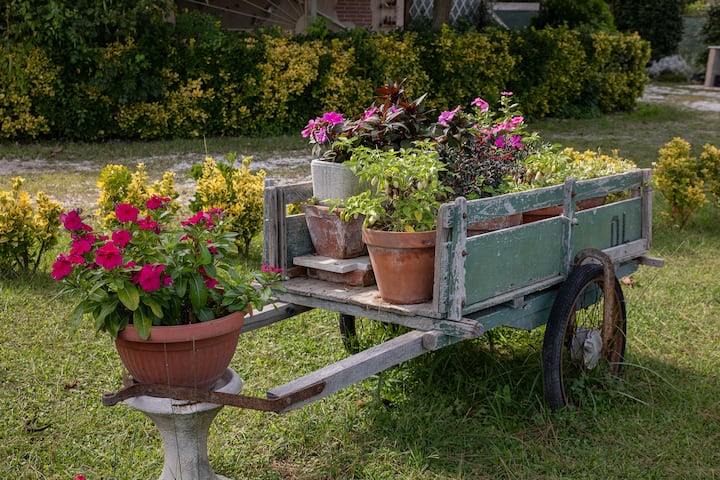 La Maison Marinara (Big And Stunning Garden) - Viareggio
