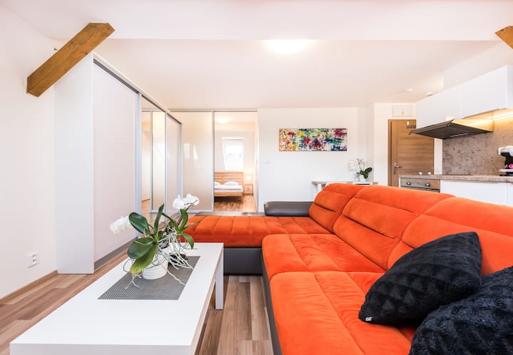 Attic Flat With Air Conditioning, Self Check-in - Brno