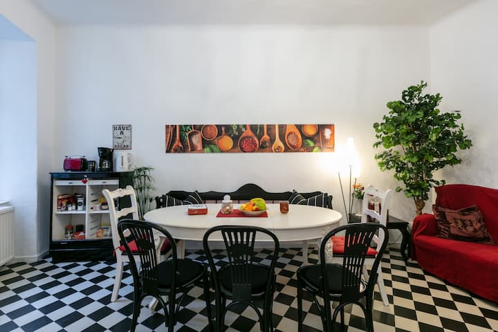 Apt.-combo: Big Group, Big Space! Stylish & Cosy! - Vienna