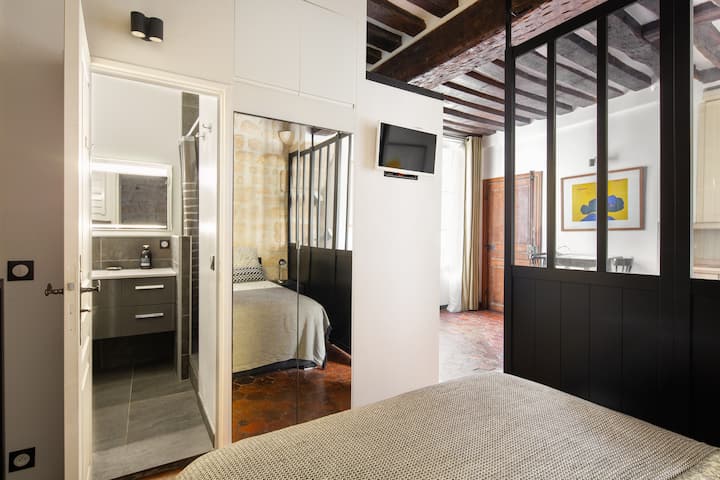 Romantic  Flat Climatised From Few Steps Seine - Paris