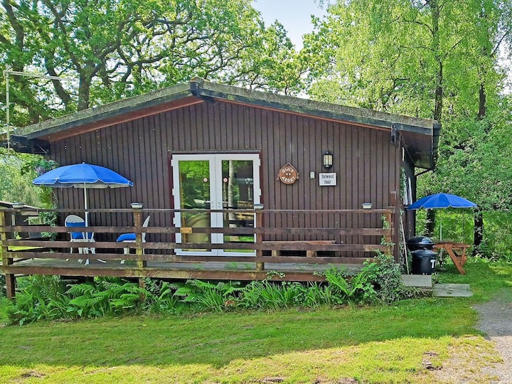 Owls About - Uk6756 - Cardigan