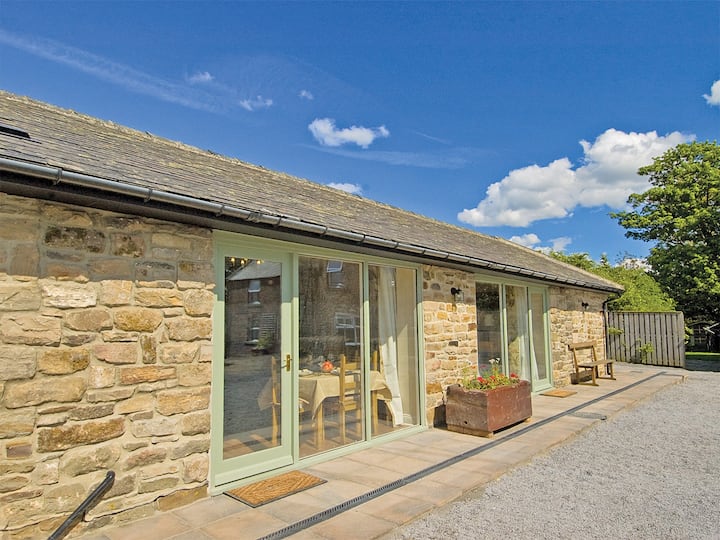 Lapwing Cottage - E5028 - Gateshead