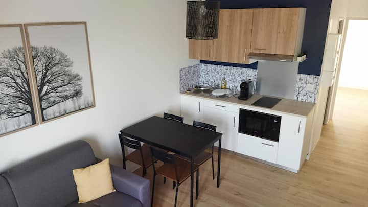 18moliere Fr - Logement Hêtre - Chasseneuil-du-Poitou