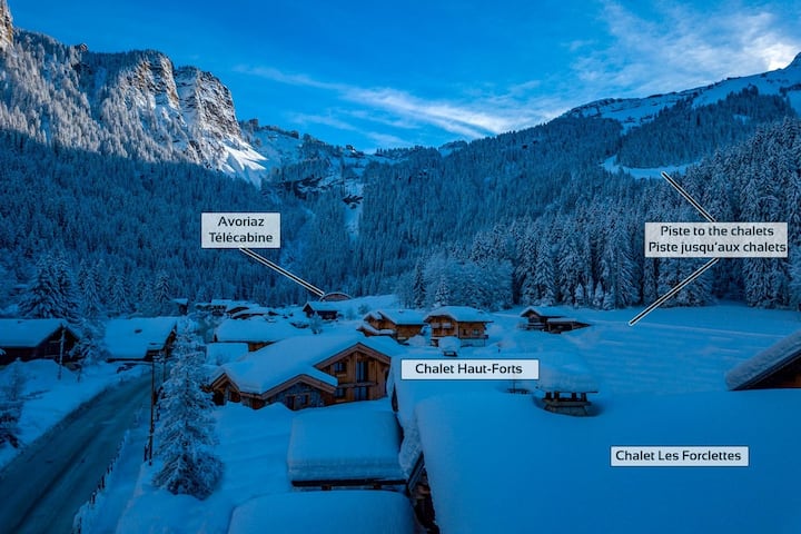 Chalet Hauts Forts Prodains Avoriaz - Morzine