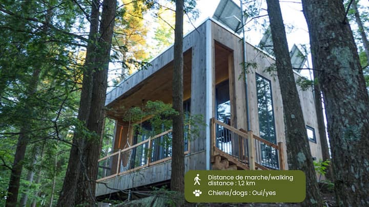 Cabin Zoobox 66 - Magog