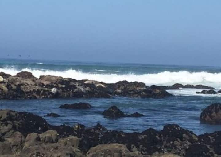 Moonstone Beachfront Escape - Cambria, CA