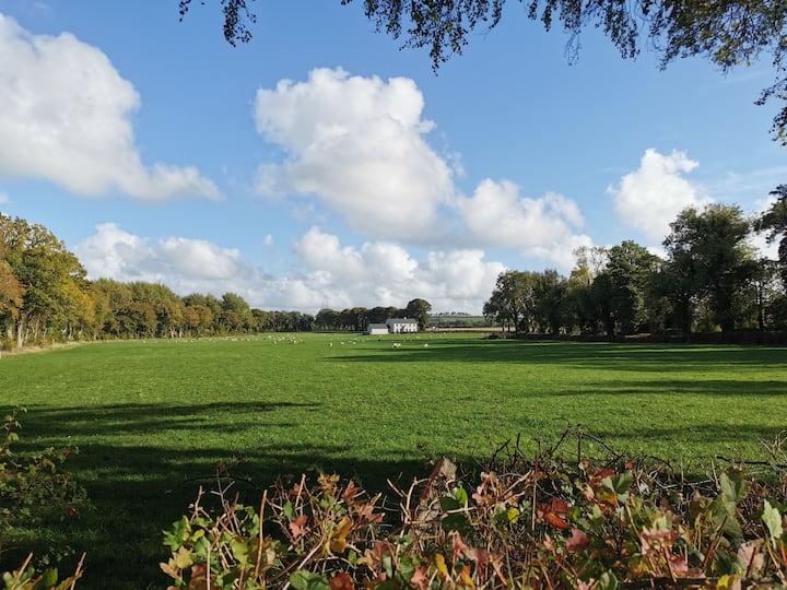 Perfect Country Retreat, Kildare Cottage 1000 - Kildare