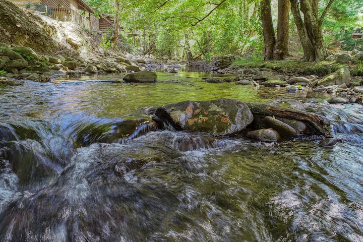 Creek Heaven On Cosby Creek - Cosby, TN