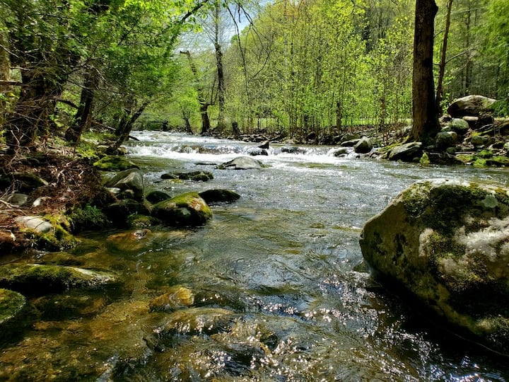 Elk Run On Cosby Creek - Cosby, TN