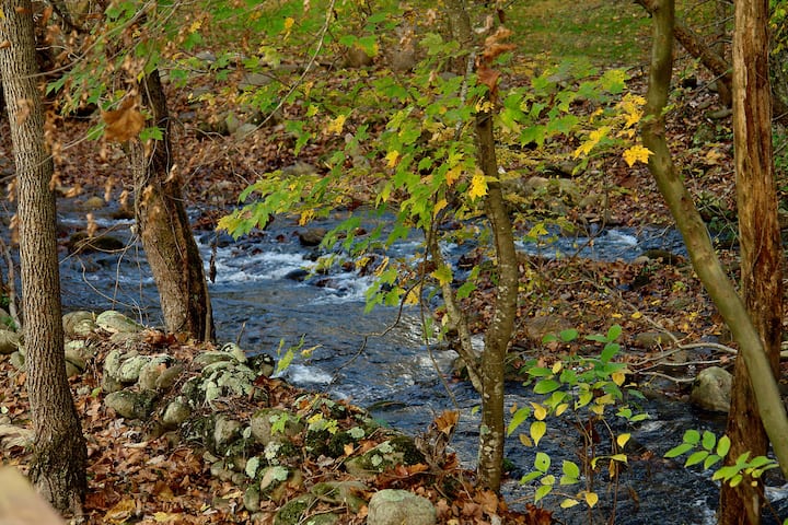 Jon's Pond On Cosby Creek - Cosby, TN