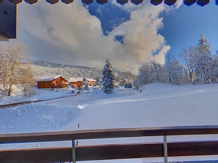 Cr103 - 2 Pièces Coin Montagne 6 Pers Proche Base - Passy