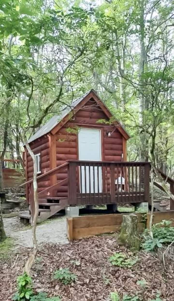Cozy Campin' Cabin W/ Electric (Sleeps 2)