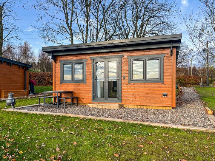 Bumblebee Cabin - Uk45403 - Forfar