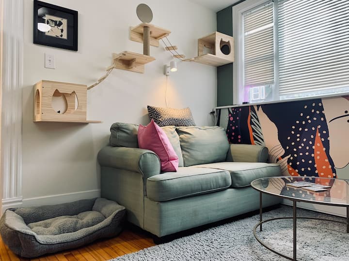 Ultimate Pet-friendly Studio With Patio - カナダ ハリファックス