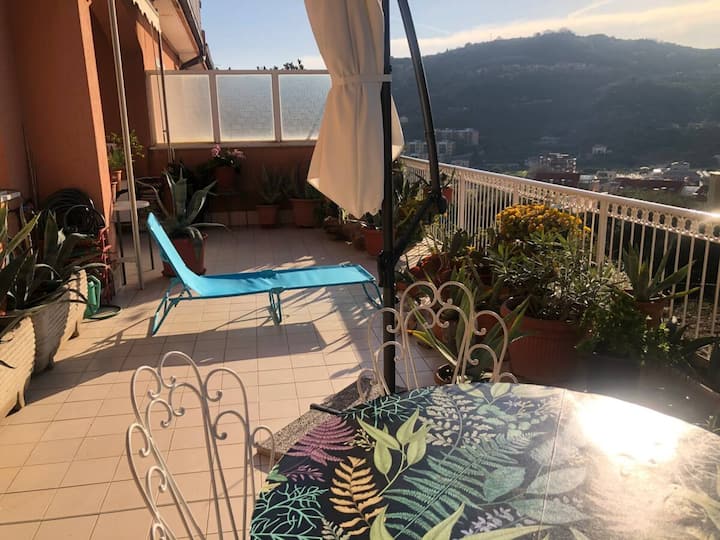 A Ca Da Pineta - Pietra Ligure