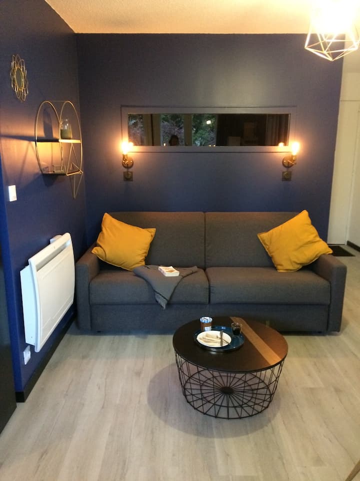 Appartement Alpin à 200m Des Pistes Pour 6 - Loudenvielle