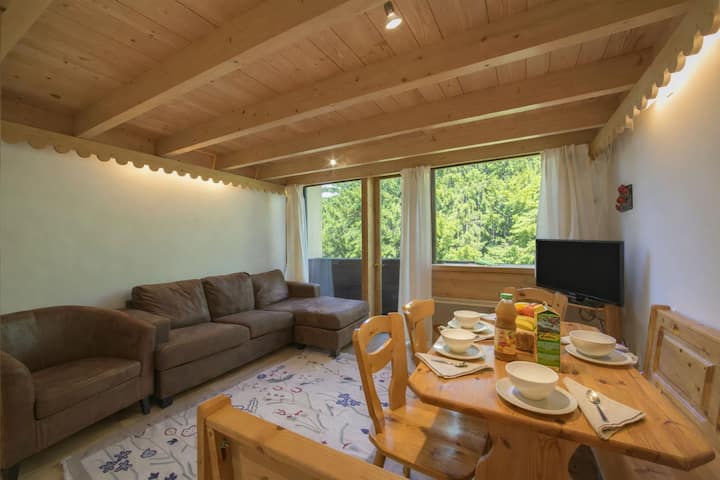 Résidence Grand Roc - Ancolies 103 - Chamonix-Mont-Blanc